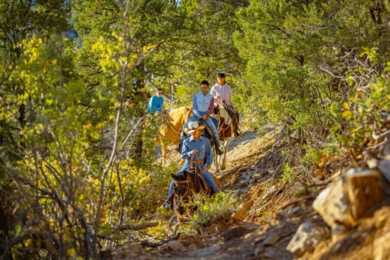 Orderville: Checkerboard Evening Shadow Horseback Ride - The Experience: What to Expect on the Checkerboard Evening Shadow Horseback Ride