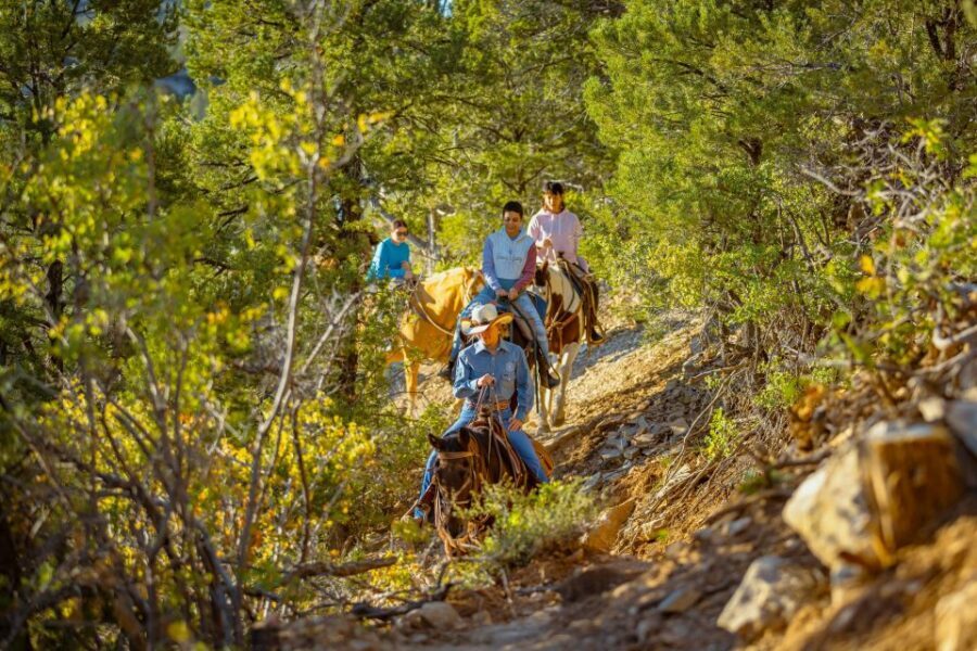 Orderville: Checkerboard Evening Shadow Horseback Ride - The Experience: What to Expect on the Checkerboard Evening Shadow Horseback Ride