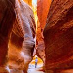 Orderville: East Zion Park White Mountain Horseback Tour - What Makes This Tour Stand Out?