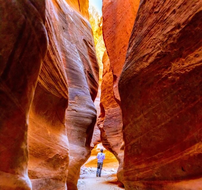 Orderville: East Zion Park White Mountain Horseback Tour - What Makes This Tour Stand Out?