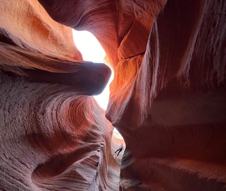 Orderville: Rappelling Slot Canyon and UTV Tour - A Deep Dive into the Experience