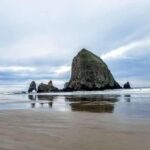 Oregon Coast Tour and Wine Tasting From Portland- Full Day Tour - What’s Included and What’s Not