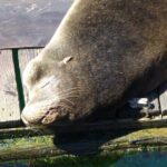 Oregon Coastal Tour: Florence to Yachats - The Itinerary: A Detailed Breakdown