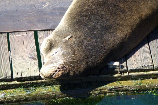 Oregon Coastal Tour: Florence to Yachats - The Itinerary: A Detailed Breakdown