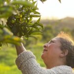 Organic Orange Picking & Jam Making with Farm-to-Table Lunch - A Personally Prepared Farm-to-Table Lunch