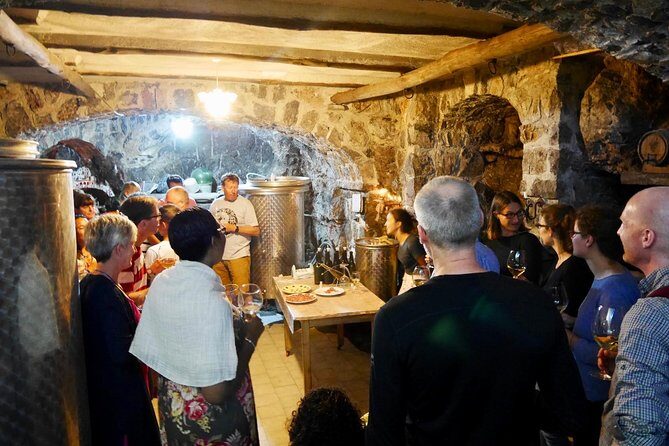Organic Wine Tasting, Mozzarella, Gnocchi & Tiramisu Workshop - The Experience in Depth
