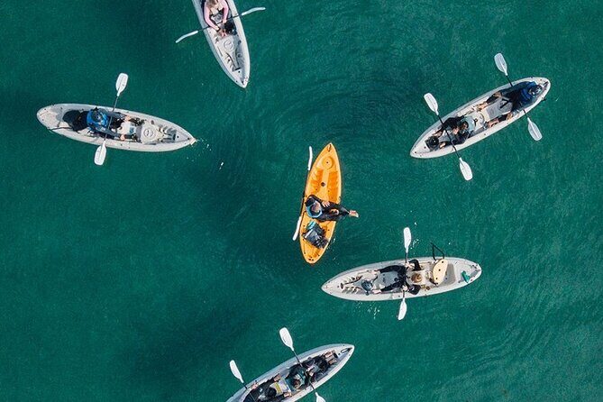 Original La Jolla Sea Cave Kayak Tour for Two - The Itinerary - What to Expect