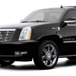 Orlando Airport Private Transportation to Port Canaveral with Free Meet & Greet - The Real-World Experience