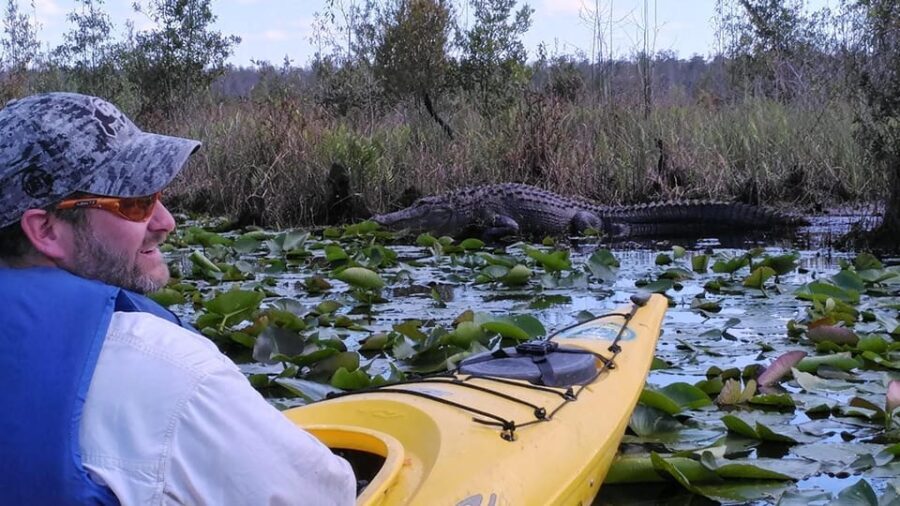 Orlando Alligator Experience: Day-Trip From Orlando - What Makes This Experience Special