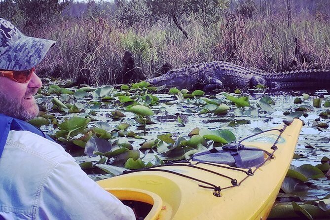 Orlando Alligator Experience - The Value of this Experience