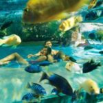 Orlando: Aquatica Water Park Admission Ticket - The Practicalities of Your Visit