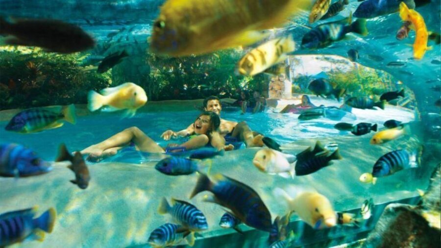 Orlando: Aquatica Water Park Admission Ticket - The Practicalities of Your Visit