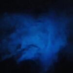 Orlando Bioluminescence Kayak Adventure - What Sets This Tour Apart: Value and Experience