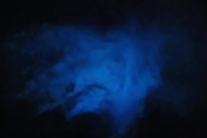 Orlando Bioluminescence Kayak Adventure - What Sets This Tour Apart: Value and Experience