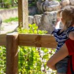 Orlando: Central Florida Zoo Skip-the-Line Ticket - What Reviewers Say