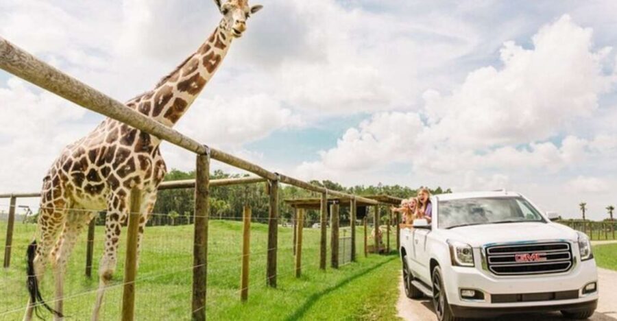 Orlando: Drive-Thru Safari Park at Wild Florida - Practical Details and What to Expect