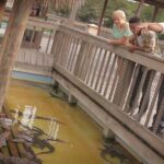 Orlando: Gatorland Interactive Tour with Animal Trainer - The Itinerary Breakdown