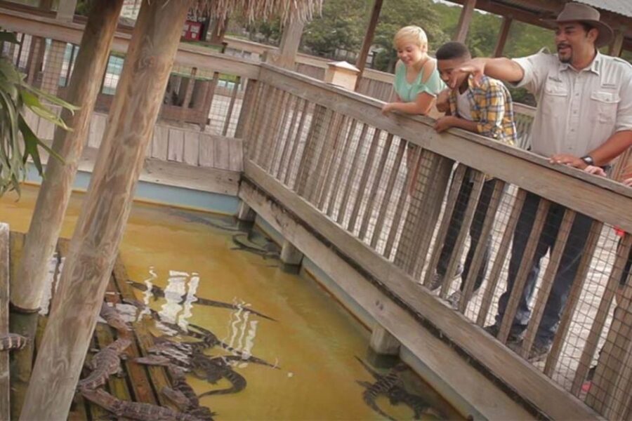 Orlando: Gatorland Interactive Tour with Animal Trainer - The Itinerary Breakdown
