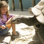 Orlando: Gatorland Skip-the-Line Ticket - How Does the Ticketing Work?