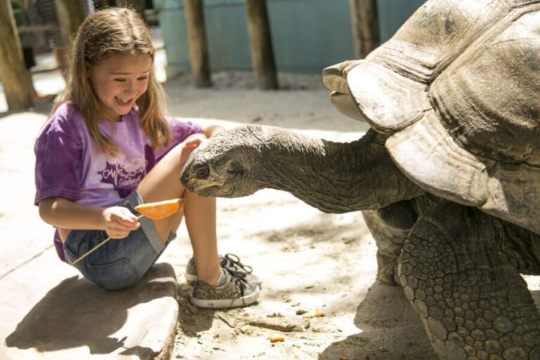 Orlando: Gatorland Skip-the-Line Ticket - How Does the Ticketing Work?