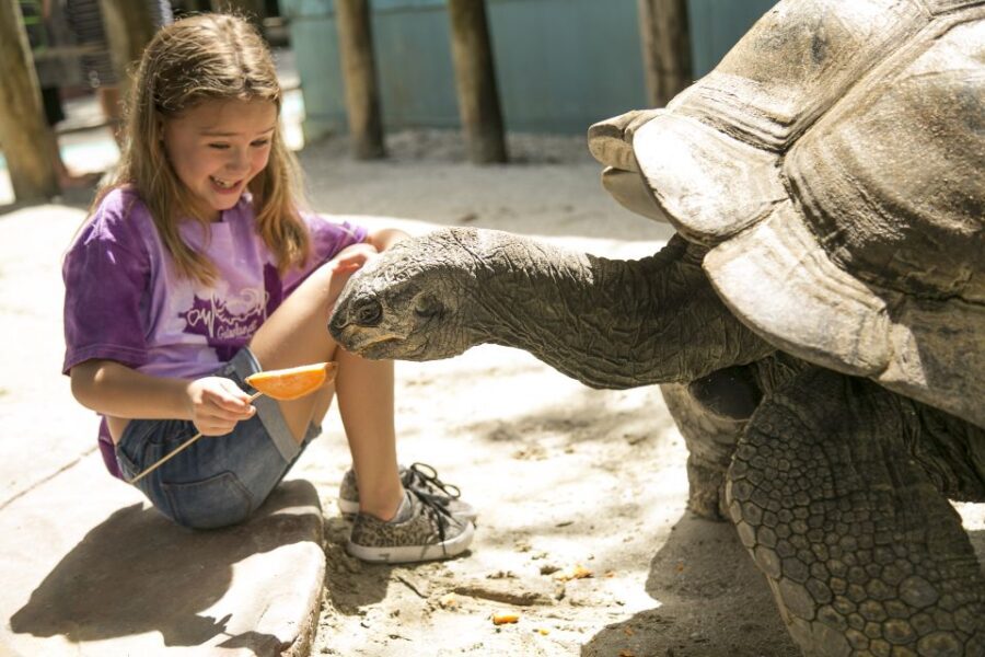 Orlando: Gatorland Skip-the-Line Ticket - How Does the Ticketing Work?