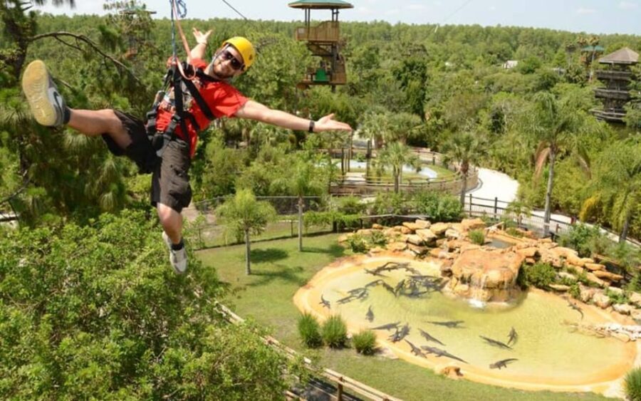 Orlando: Gatorland Zipline Adventure w/ Full-Day Park Access - What Travelers Love