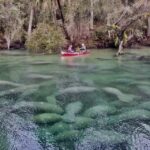Orlando: Kayaking Tour with Manatee Encounter - Who Will Enjoy This Tour?
