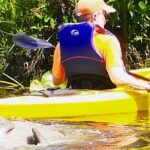 Orlando Manatee Encounters - What to Expect During Your Kayak Adventure