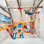 Orlando: Museum of Illusions Admission Ticket - Authentic Visitor Experiences