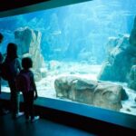 Orlando: SEA LIFE Orlando Aquarium - Practical Details: What to Expect During Your Visit