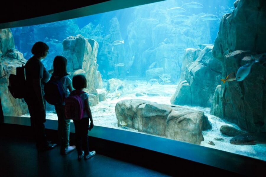 Orlando: SEA LIFE Orlando Aquarium - Practical Details: What to Expect During Your Visit