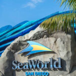 Orlando: SeaWorld Shuttle Service - How the Service Works