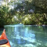 Orlando: Small Group Rock Springs Run Kayak Tour - Who Will Love This Tour?