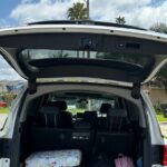 Orlando To or From Port Canaveral Transfer - Who Should Consider This Service?