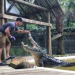 Orlando: Wild Florida Park Ticket and Gator Shows - Practical Details and What to Expect