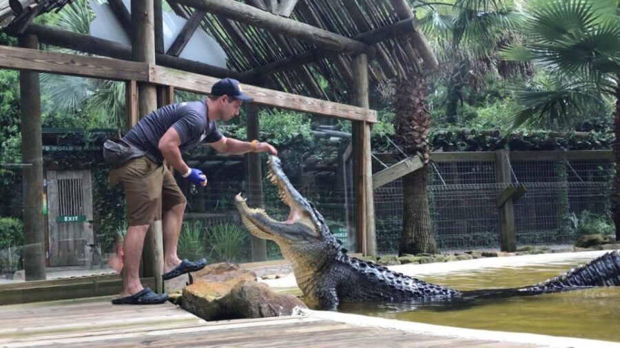 Orlando: Wild Florida Park Ticket and Gator Shows - Practical Details and What to Expect