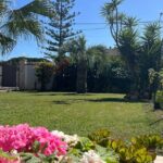 Ortigia market tour and traditional cooking lesson in the garden - What Makes This Tour Stand Out