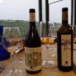 Orvieto by Evening: Small Group e-Bike tour with Dinner - Who Should Consider This Tour?