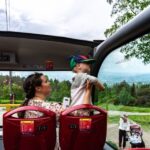 Oslo: City Sightseeing Hop-On Hop-Off Bus Tour - Authentic Insights from Travelers