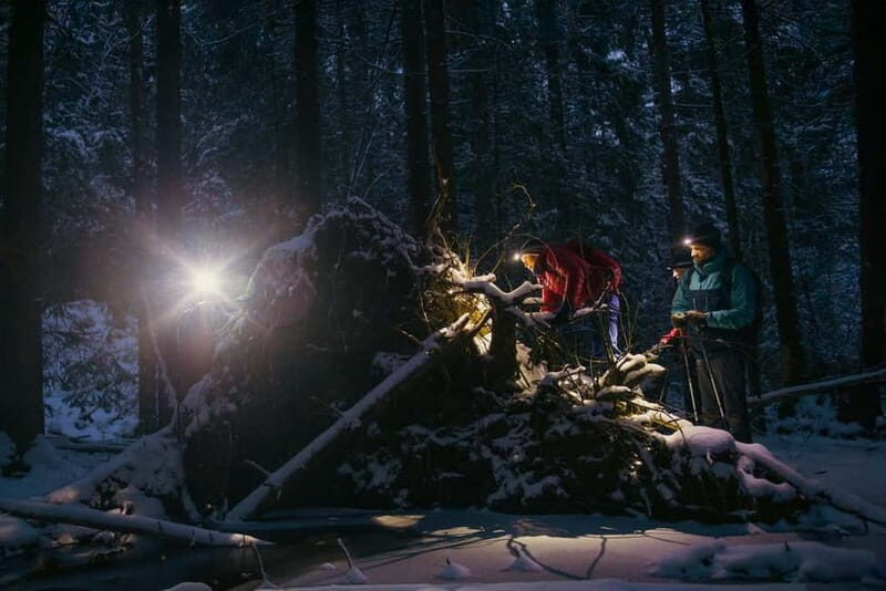 Oslo Forest: Mystery Nocturne Walk with Headlamps - A Detailed Look at the Experience