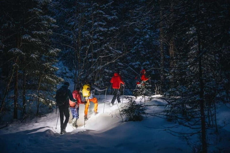 Oslo Forest: Private Mystery Nocturne Walk with Headlamps - Final Thoughts