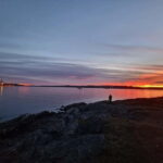 Oslo: Malmøya Island Guided Hike with Waffle and Drink - The Details: A Deep Dive into the Experience