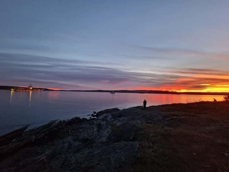 Oslo: Malmøya Island Guided Hike with Waffle and Drink - The Details: A Deep Dive into the Experience