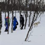 Oslo: Snowshoeing in the Forest with Norwegian BBQ - Authentic Experiences Highlighted by Travelers
