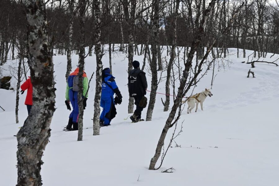 Oslo: Snowshoeing in the Forest with Norwegian BBQ - Authentic Experiences Highlighted by Travelers