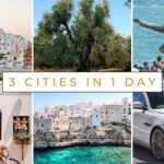 Ostuni, Locorotondo & Polignano: Private or Semi-Private Tour - What You Can Expect: Practical Details