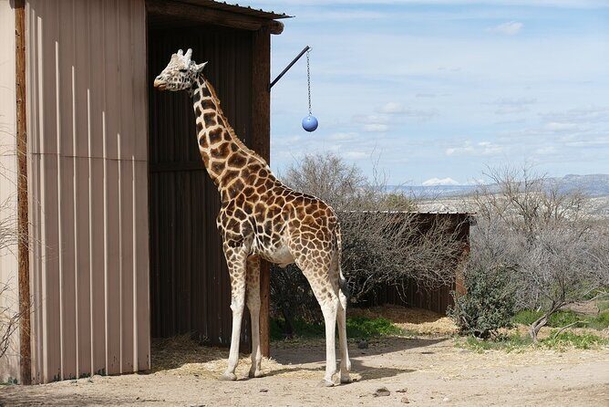 Out of Africa Wildlife Park Admission Ticket - The Admission Ticket & What It Includes