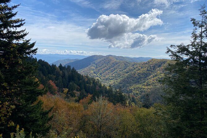 Over the Top Tour in Oconaluftee - What We Love About This Tour