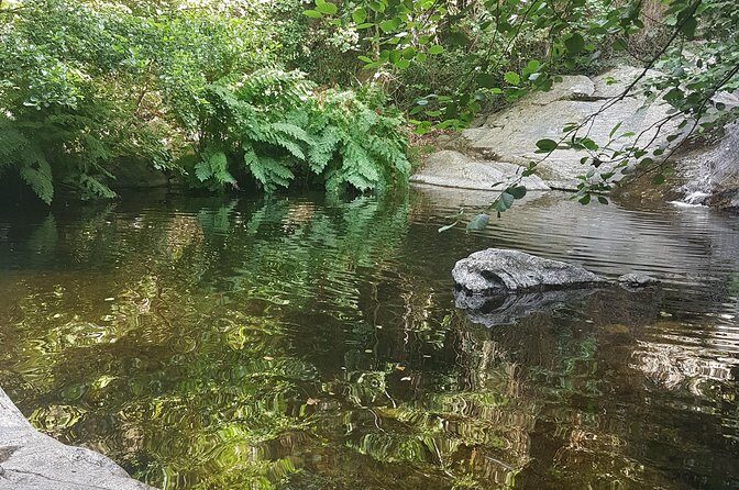 Over Water and Bird Songs - Exploring the Albères Landscape in Detail