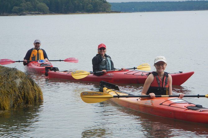 Oyster Farm & Complimentary Tasting Sea Kayak Tour in Casco Bay - Authentic Testimonials